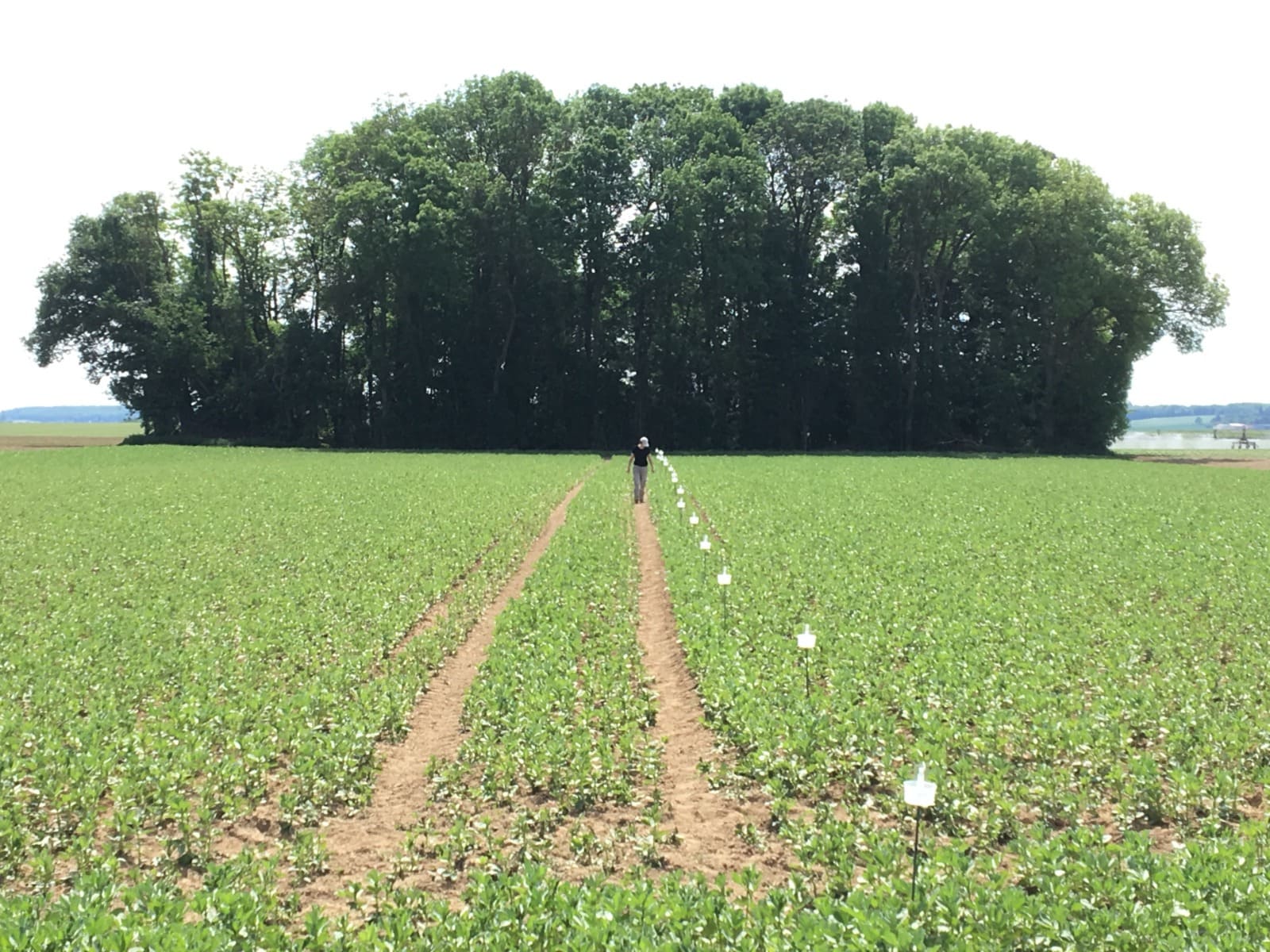 Agriodor accompagne les agriculteurs dans la transition écologique ...